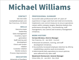 Best CFO CV Examples To Use in 2023 - CV Help