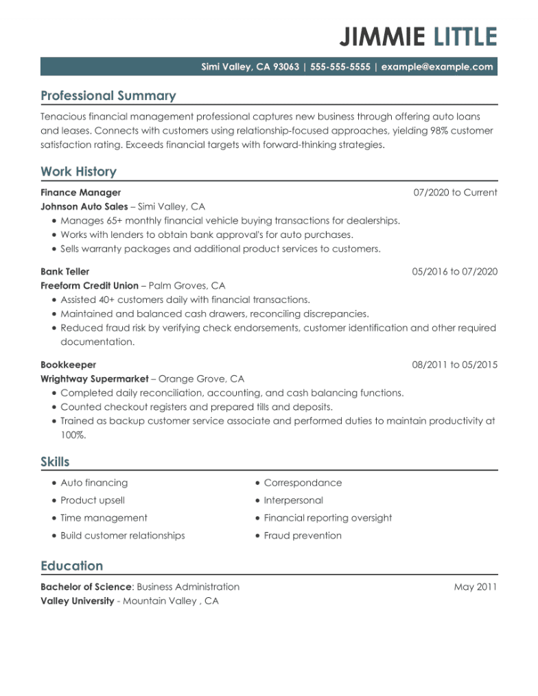 Finance CV Examples Samples Writing Guide For 2024